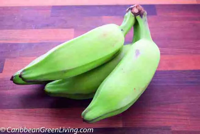 The Different Types Of Plantains: What To Know And How To Use Them