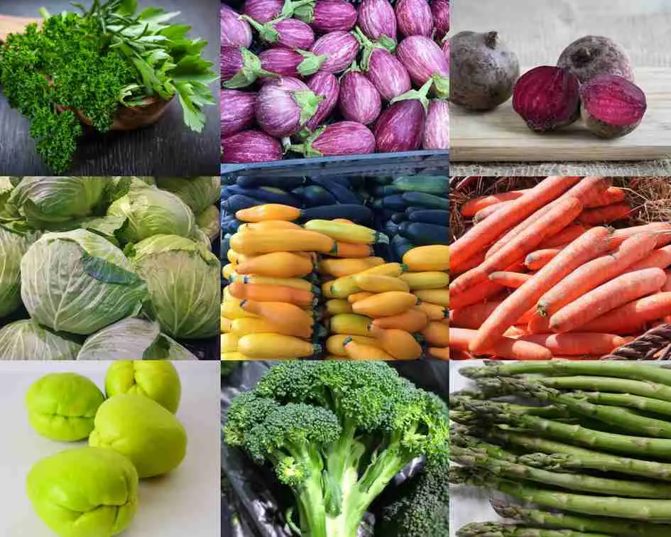 Vegetables Collage | Caribbean Green Living