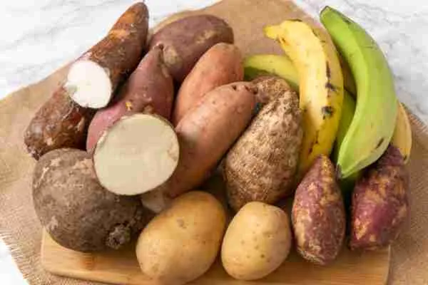 The most common root vegetables and provisions used in Caribbean ...
