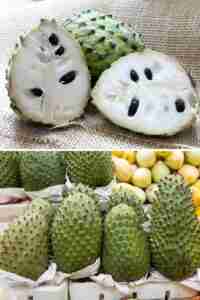 Soursop 101: Everything You Need To Know About This Exotic Fruit