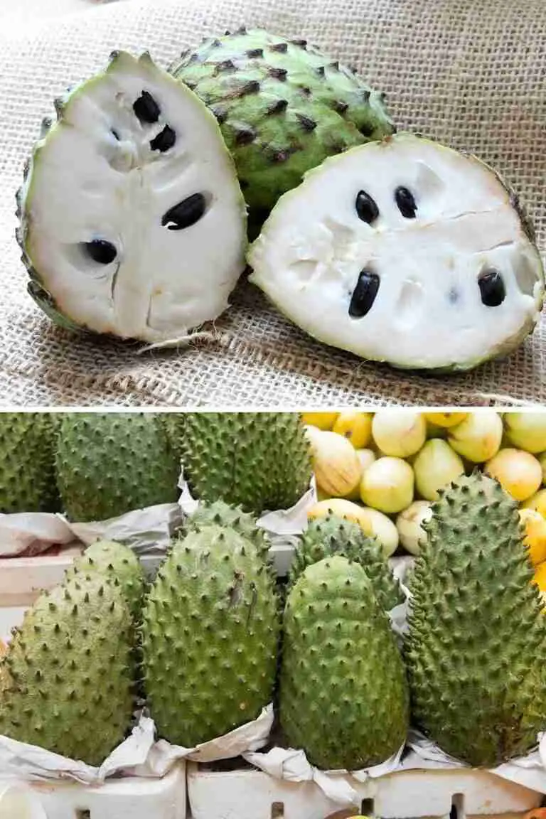 Soursop 101: Everything You Need To Know About This Exotic Fruit