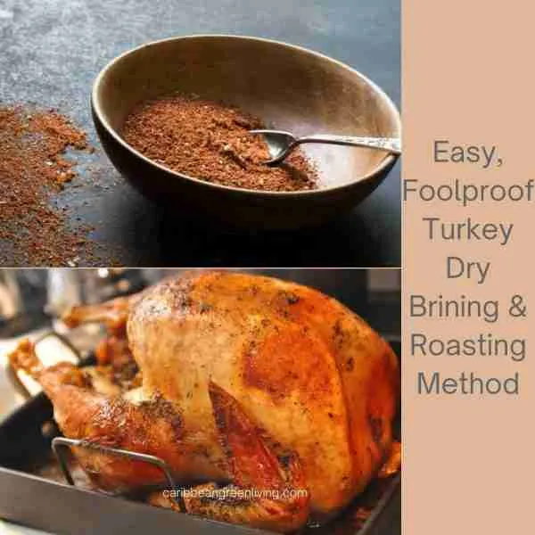 Easy, Foolproof Turkey Dry Brining & Roasting Method