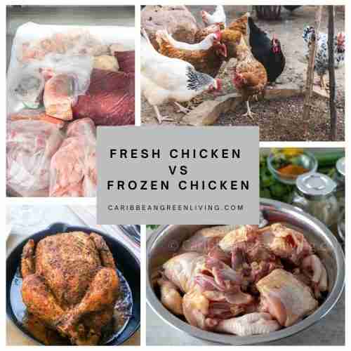 Fresh Chicken Vs Frozen Chicken