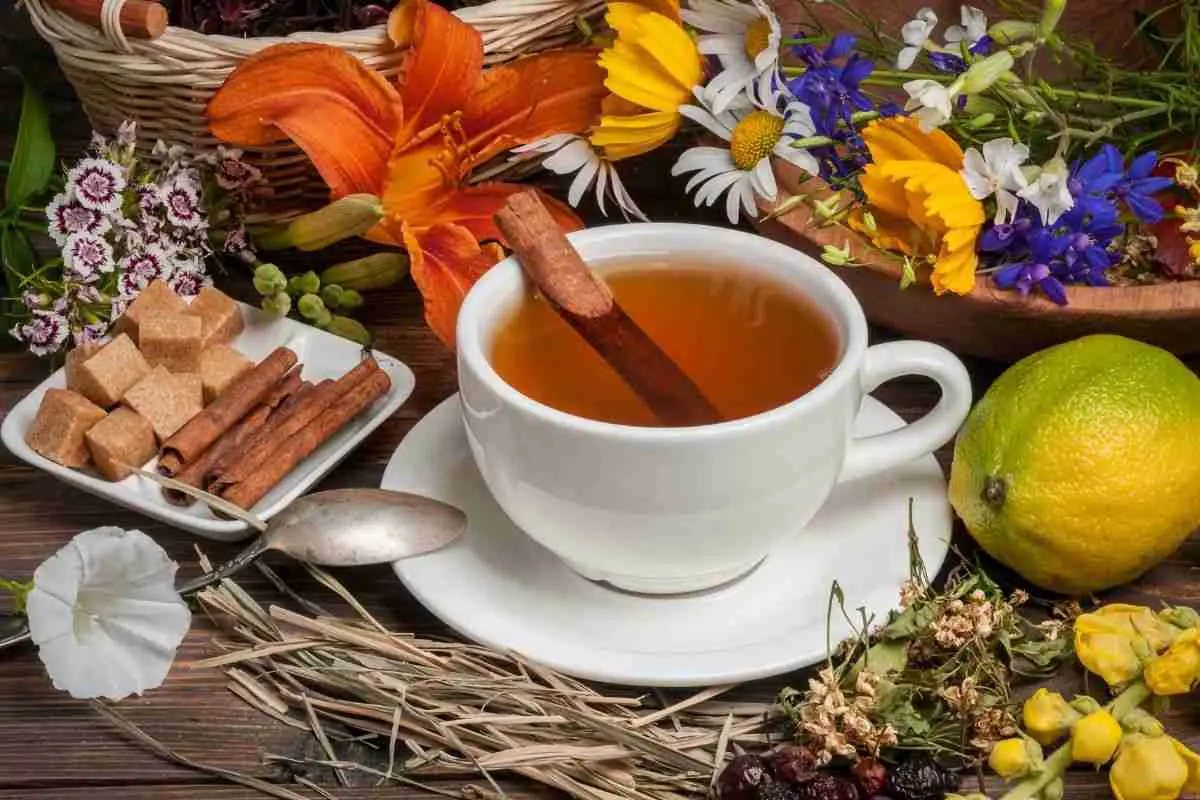 Brew Like A Boss: The Ultimate Guide To Steeping Herbal Tea (Caribbean ...