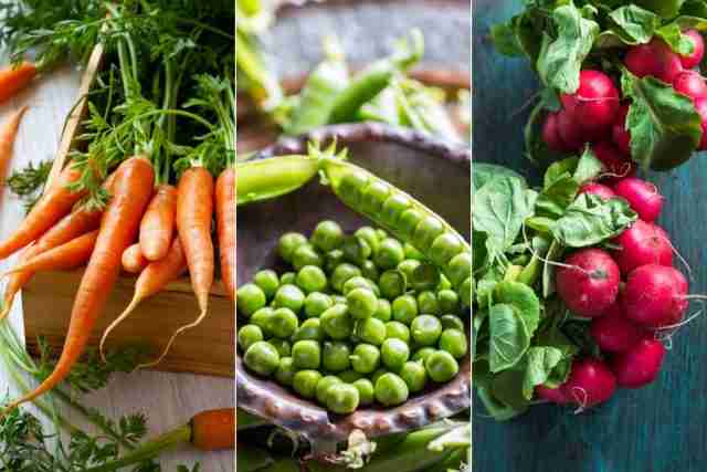 17 Spring Vegetables Bursting With Fresh Flavor