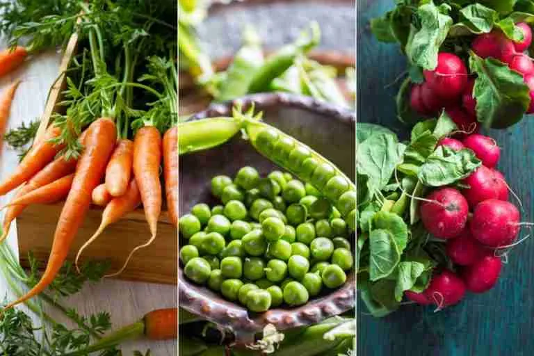 17 Spring Vegetables Bursting With Fresh Flavor