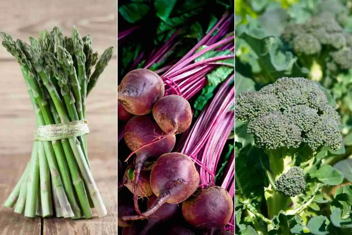 17 Spring Vegetables Bursting With Fresh Flavor