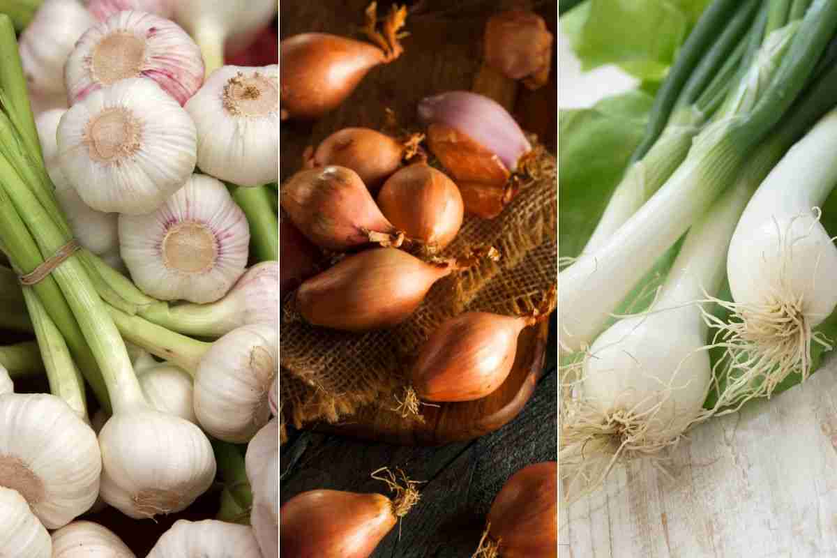 17 Spring Vegetables Bursting With Fresh Flavor